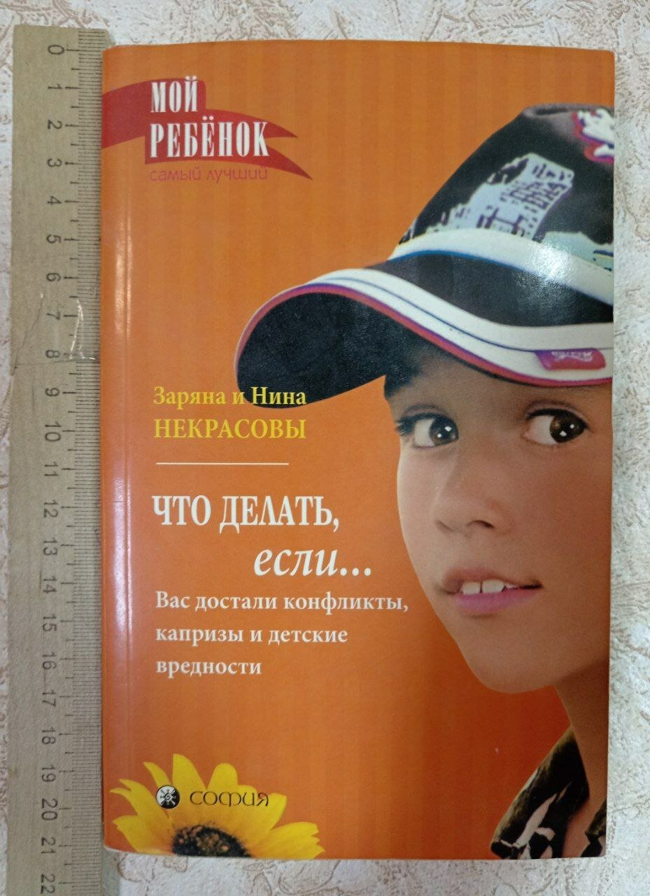 Что делать, если. Вас достали конфликты, капризы и детские вредности