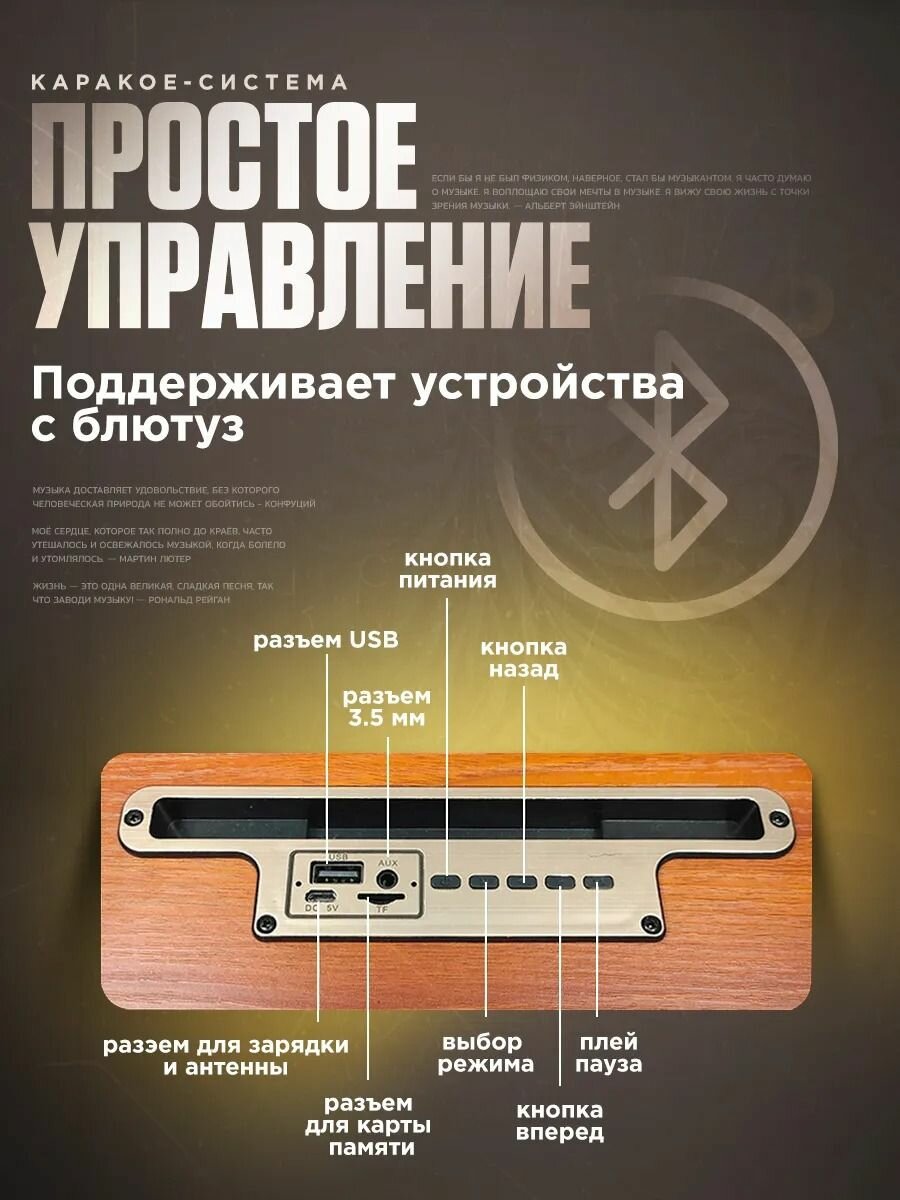 Караоке-система — фото 1