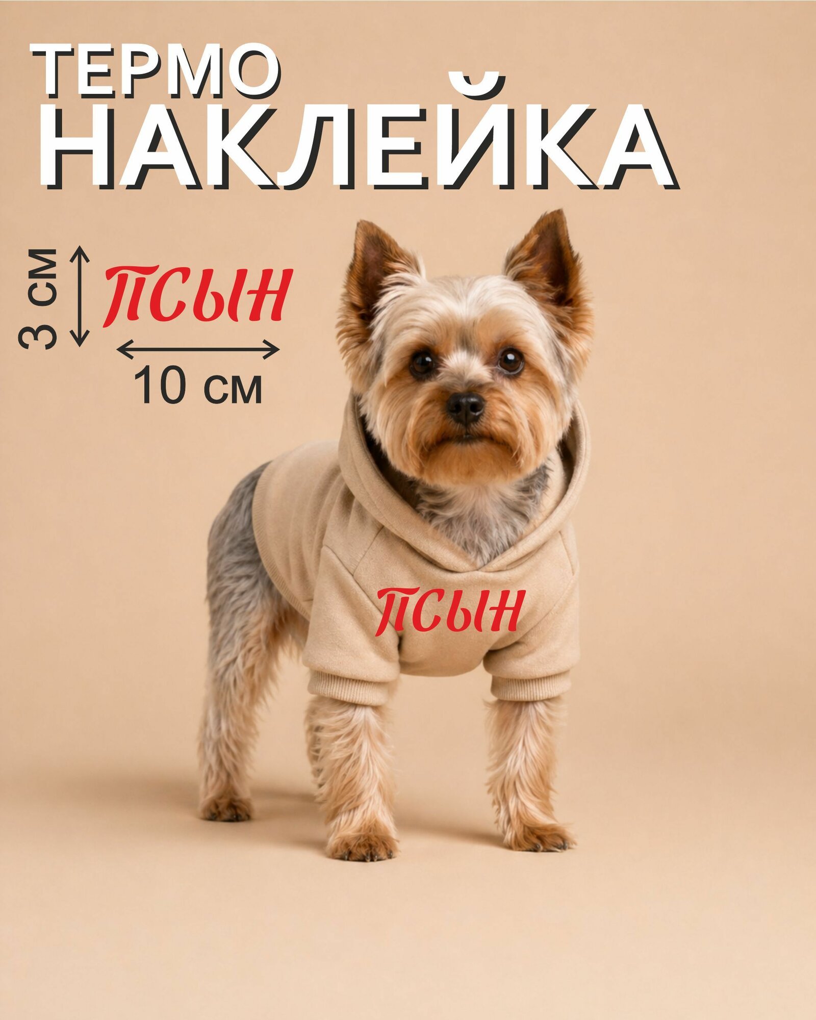 Термонаклейка на одежду / заплатка / надпись Псын"