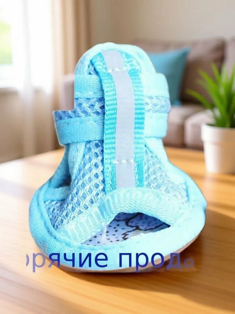 Собака Обувь — фото 1