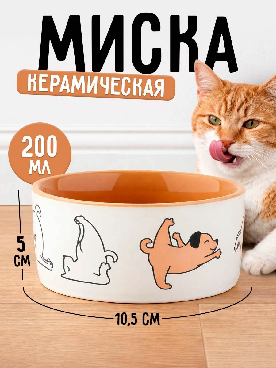 Миска для кошек керамическая "Фитнес пёсики" , 200 мл миска для кошек керамическая миска