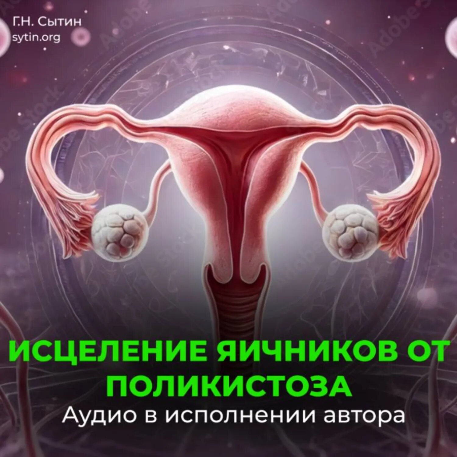 Настрой против женского бесплодия. Исцеление яичников от поликистоза [Аудиокнига]