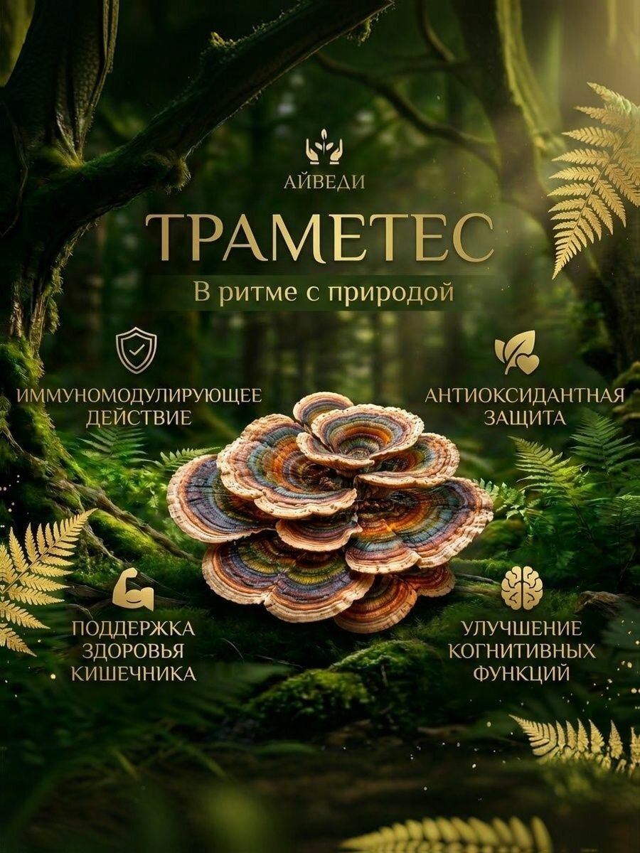 Траметес цельный "Айведи" 100гр