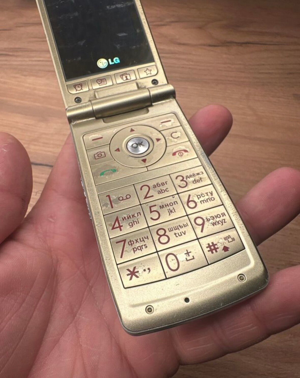Samsung SGH-L310