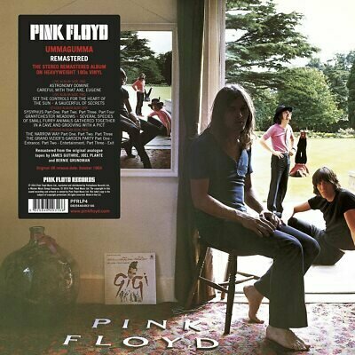 Pink Floyd - Ummagumma