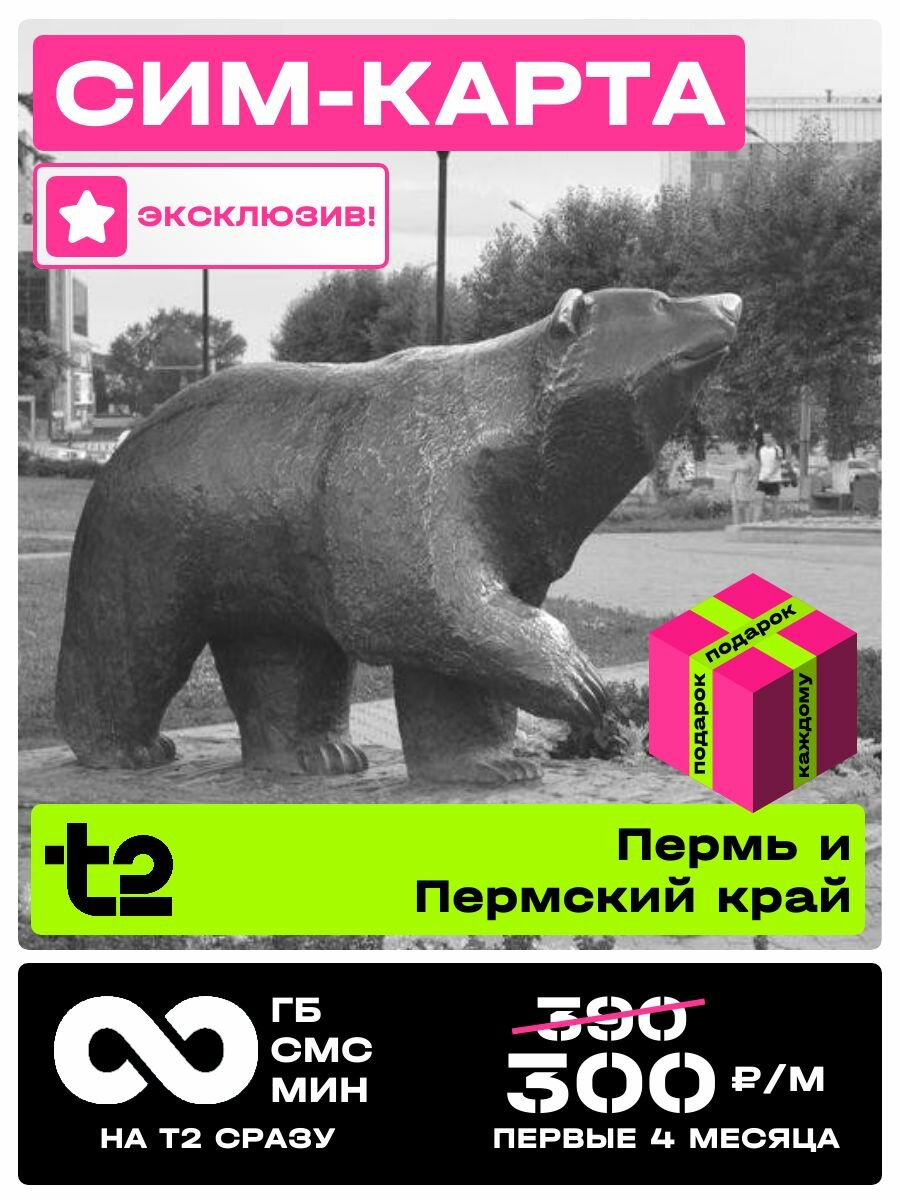 Сим карта теле 2 с безлимитным интернетом и минутами. t2 SIM-карта тариф хватит Пермский край. За 300 рублей в месяц.