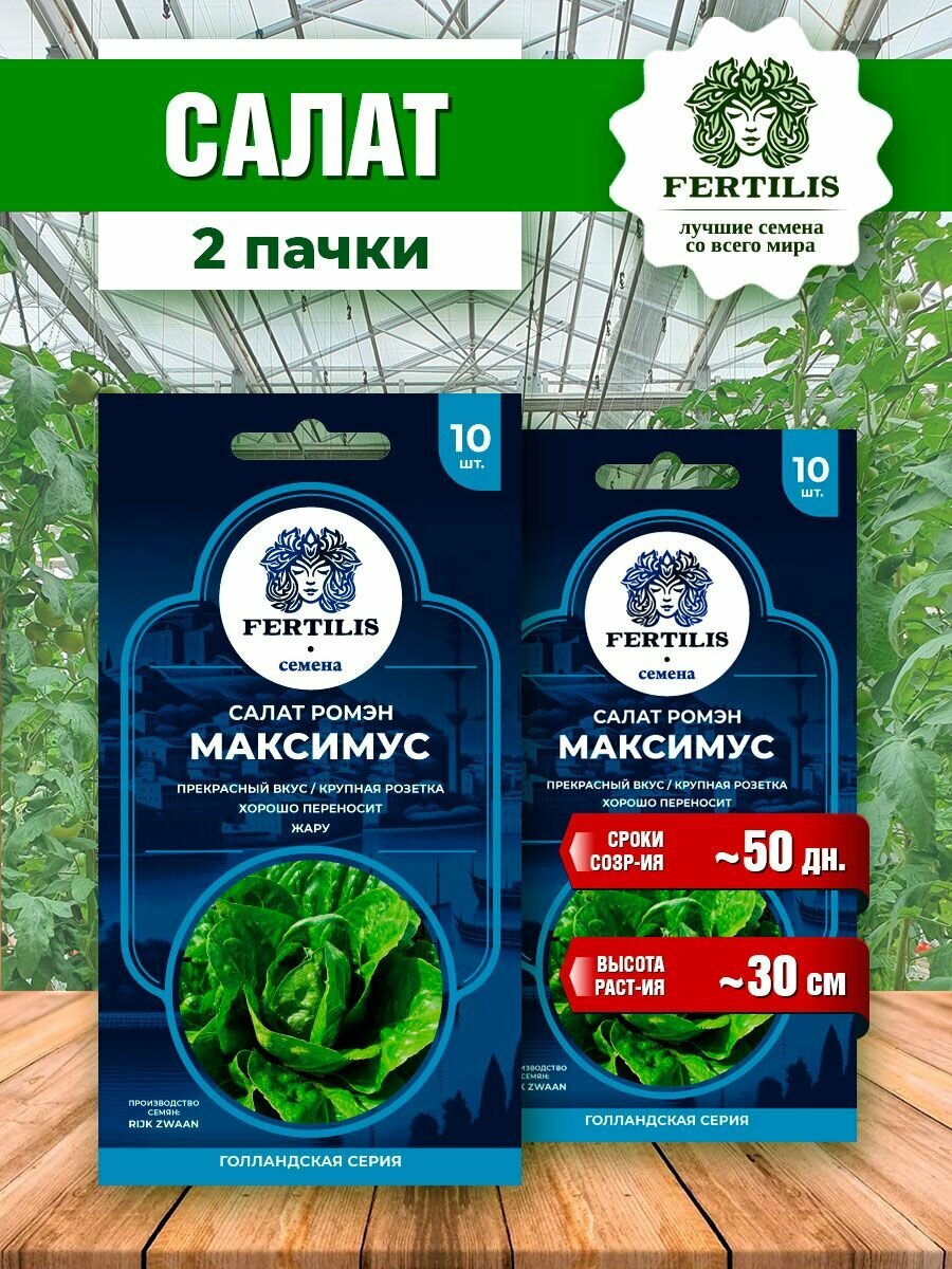 Семена салата ромэн "Максимус" от компании Fertilis (2 пачки)