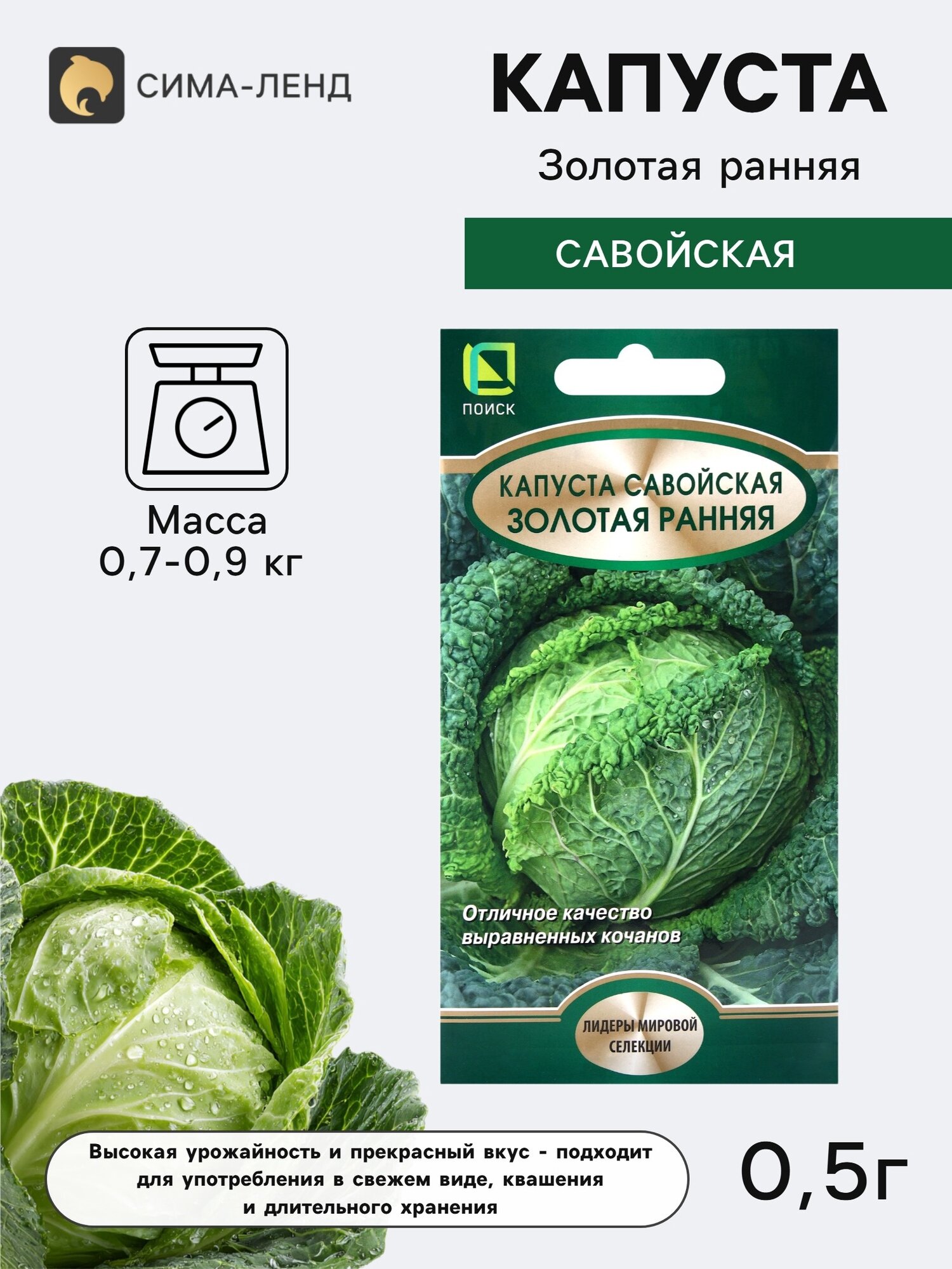 Семена Капуста савойская «Золотая ранняя», 0.5 г, «Поиск»