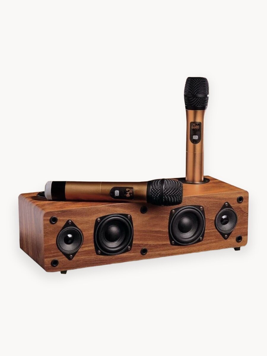 Акустическая караоке-система KS-120W с двумя беспроводными микрофонами