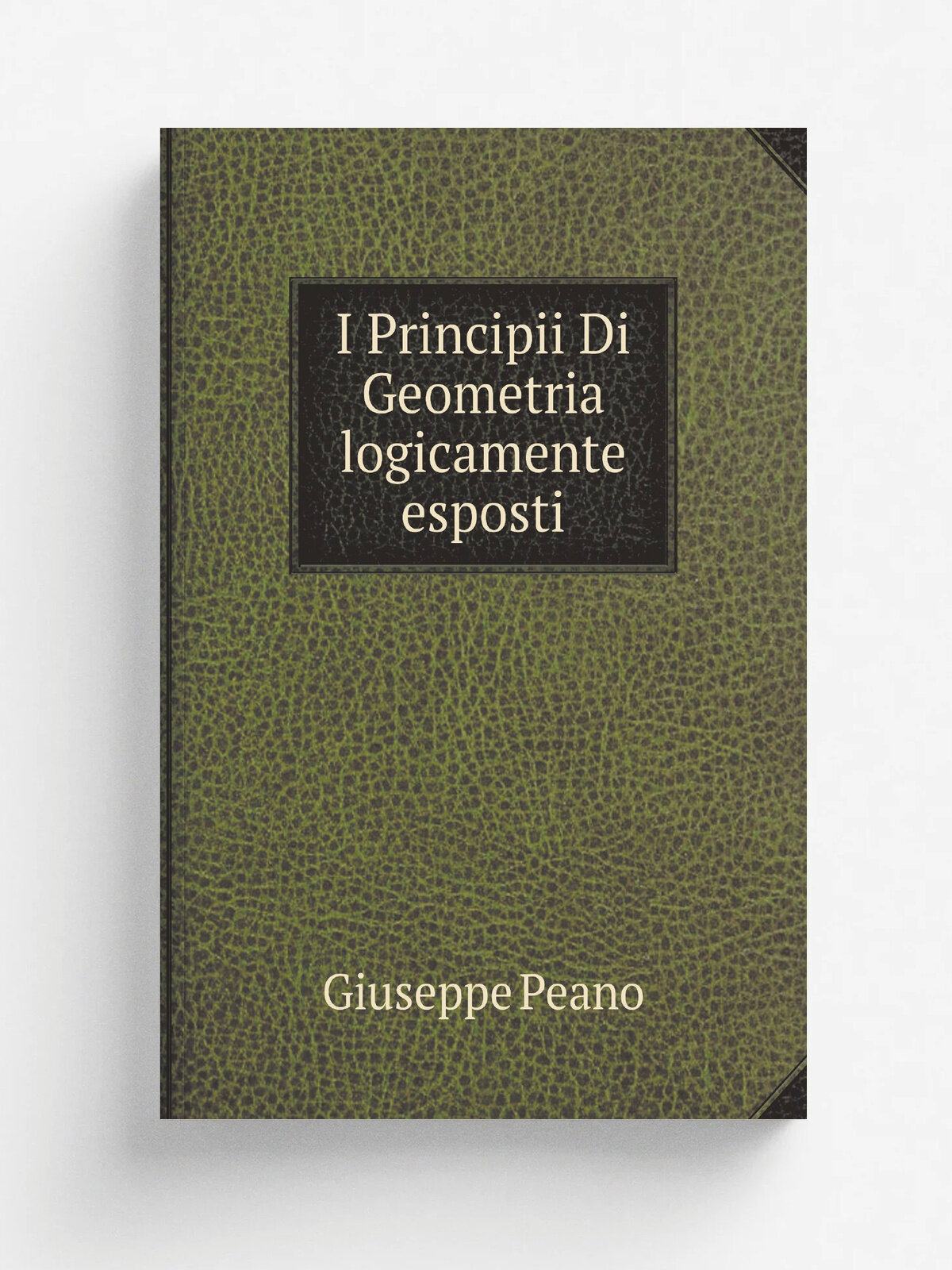 I Principii Di Geometria logicamente esposti