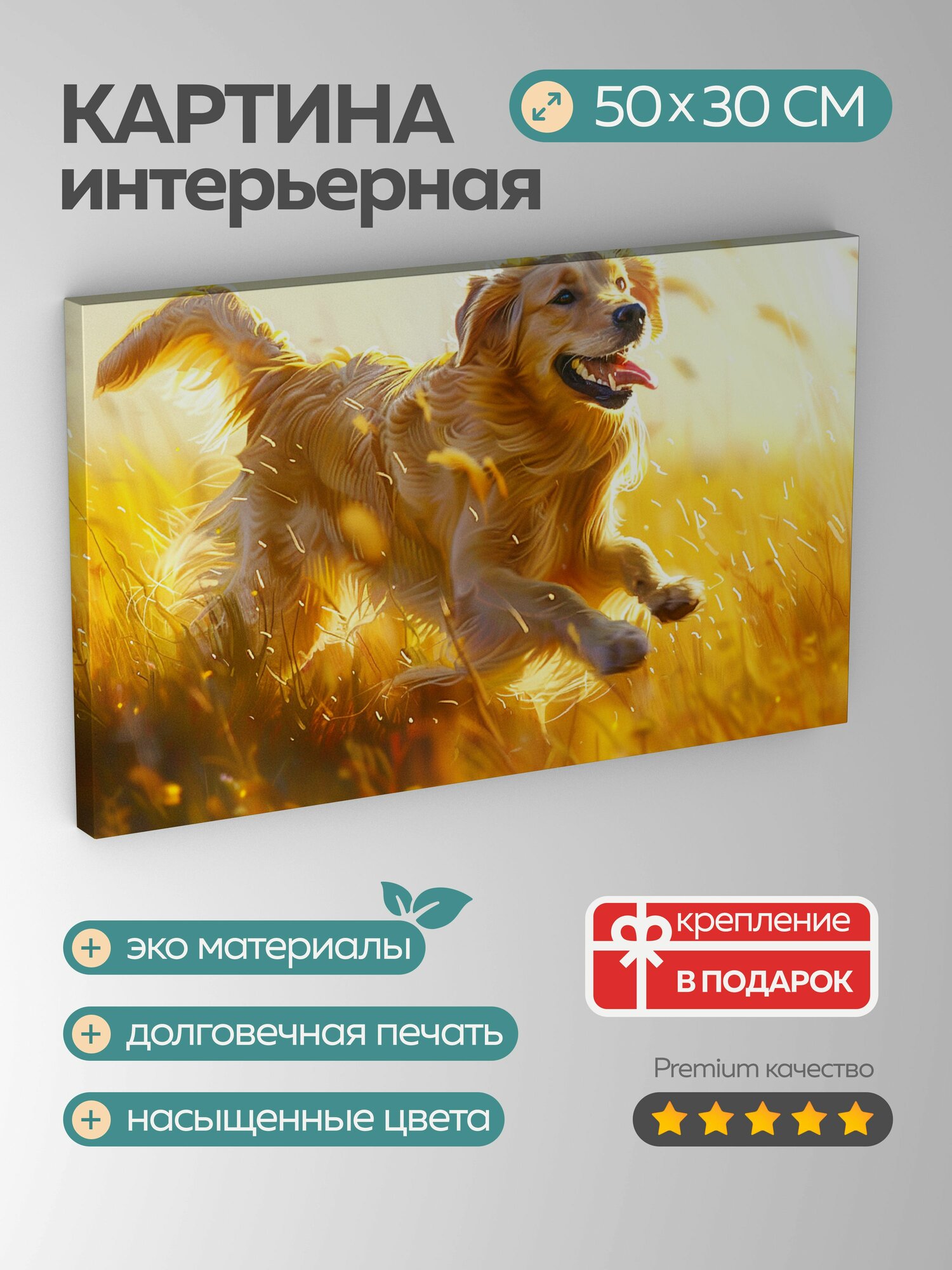 Картина на холсте интерьерная 50х30 см, лабрадор, солнцем, луг, шерсть, игривость, счастье, радость, цифровая картина