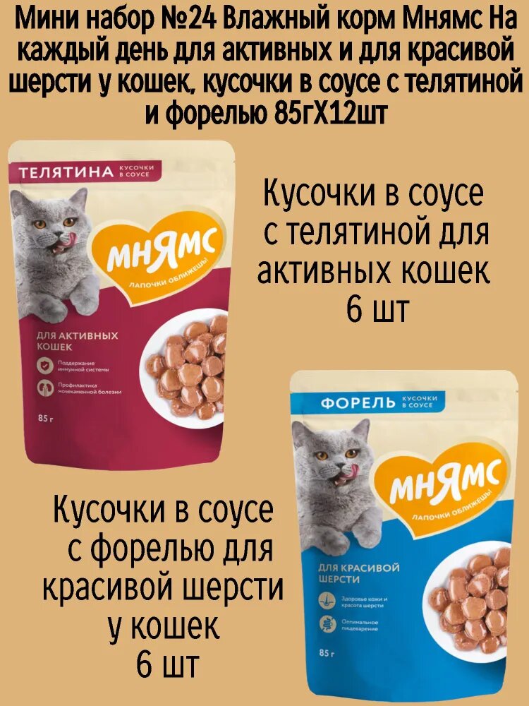 Мини набор №24 Влажный корм Мнямс для активных домашних кошек, кусочки в соусе с телятиной и форелью, 12 шт х 85 гр