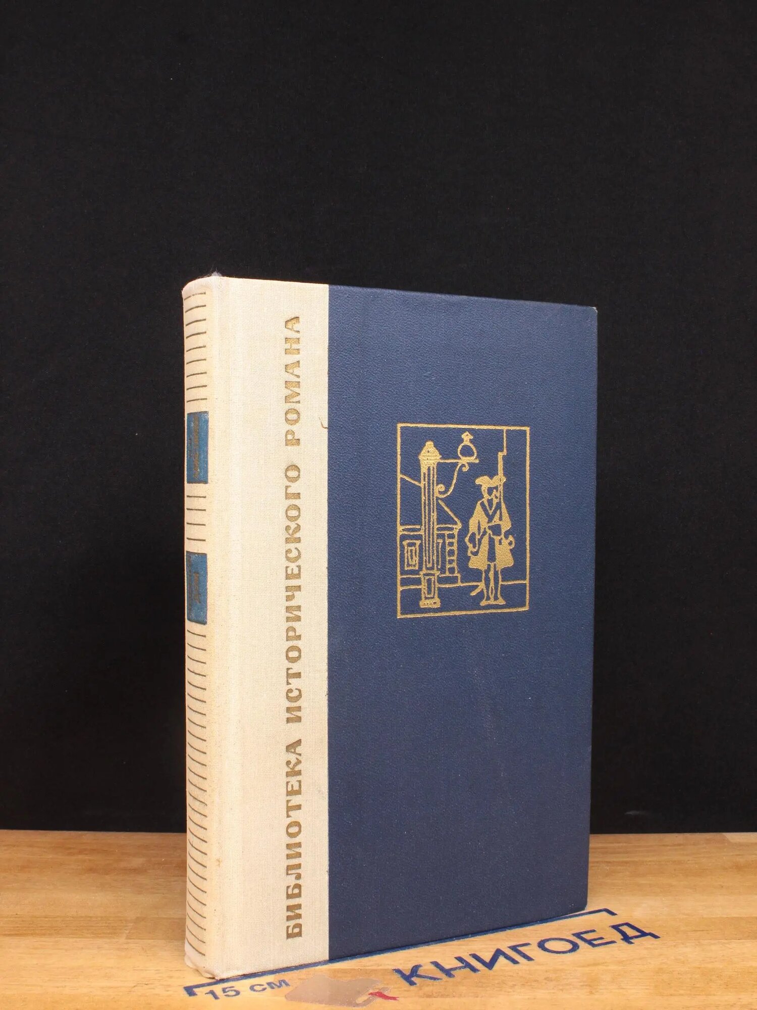Книга. Ледяной дом 1970 (2044427612543)