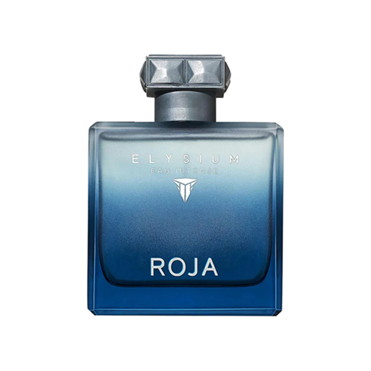 Мужская парфюмерная вода Roja Parfums Elysium Eau Intense, фужерный аромат, 100 мл