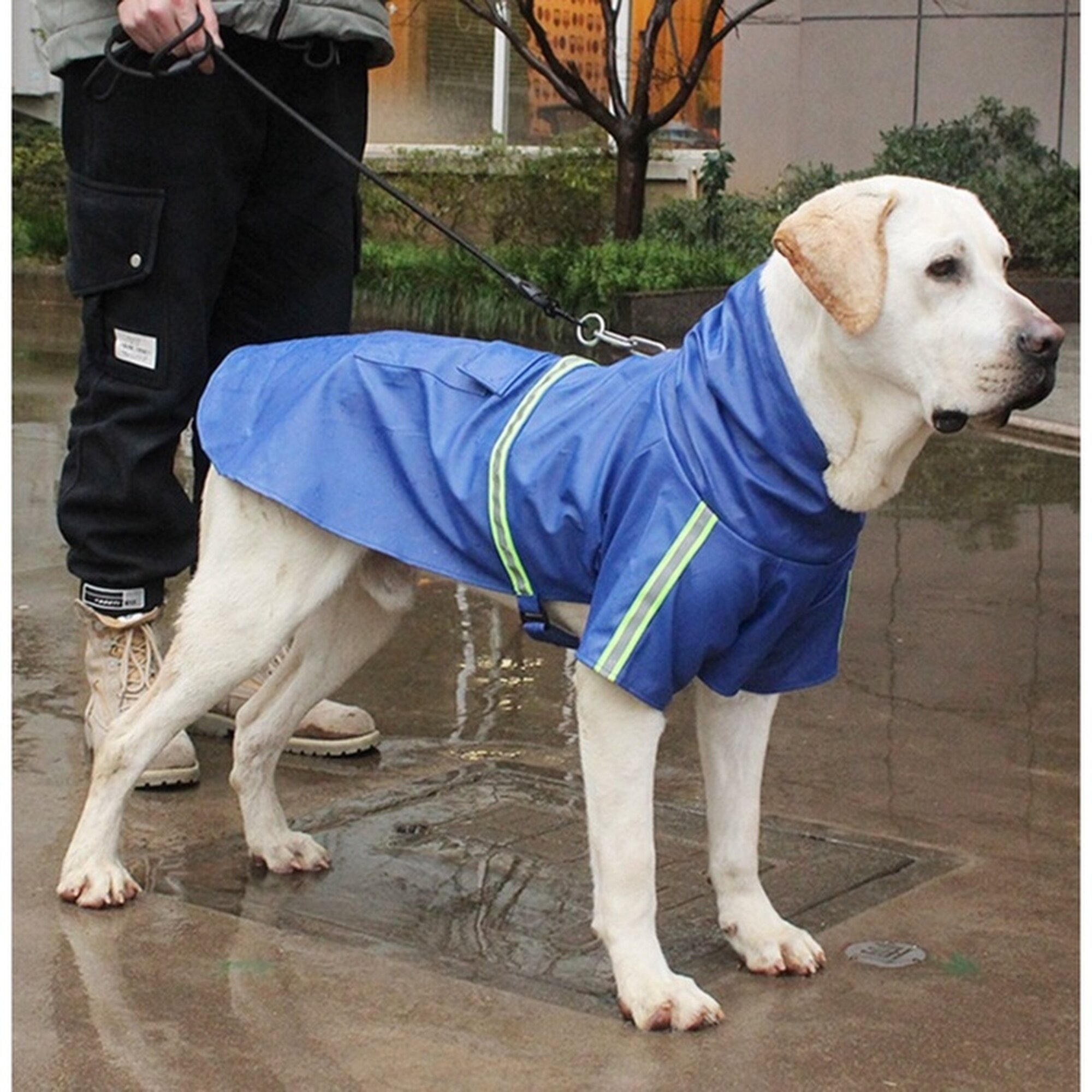 Куртка для собак с подкладом, размер M (ДС 30, ОГ 41 см, вес 4-6 кг), синяя