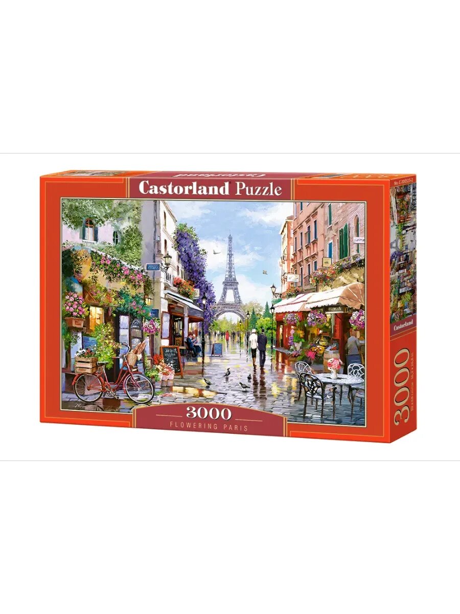 Пазл Парижская улица, 3000 деталей