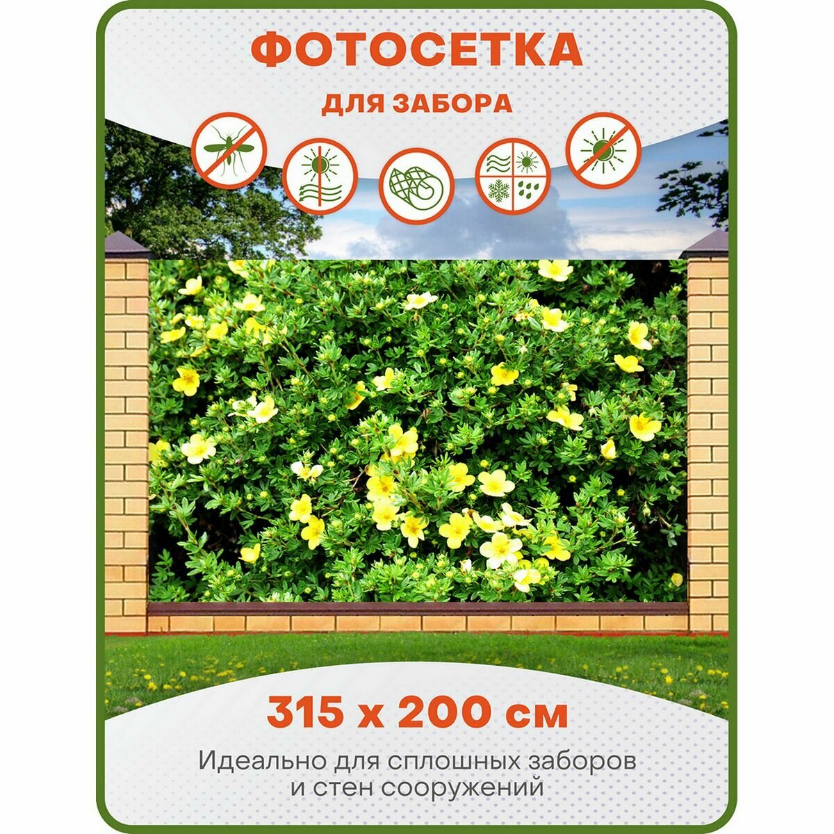 Фотосетка для забора и беседки, Сад розы Ксантина, фотофасад для дачи и террасы, люверсы в подарок, ФС280 , 315х200 см