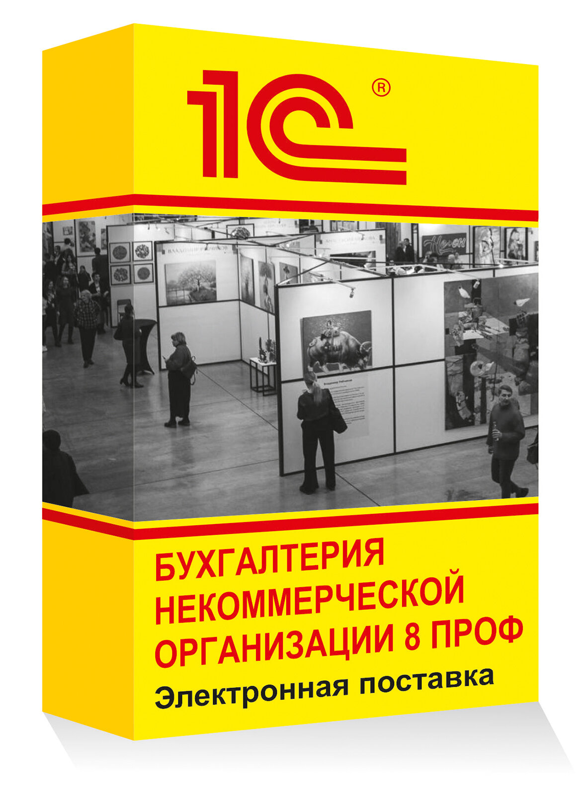 1С Бухгалтерия некоммерческой организации 8 ПРОФ. Электронная поставка