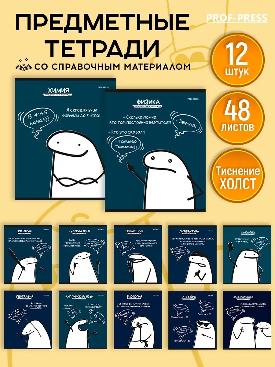 Набор предметных тетрадей Prof-Press "мемы", 12шт, 48 листов, со справочным материалом