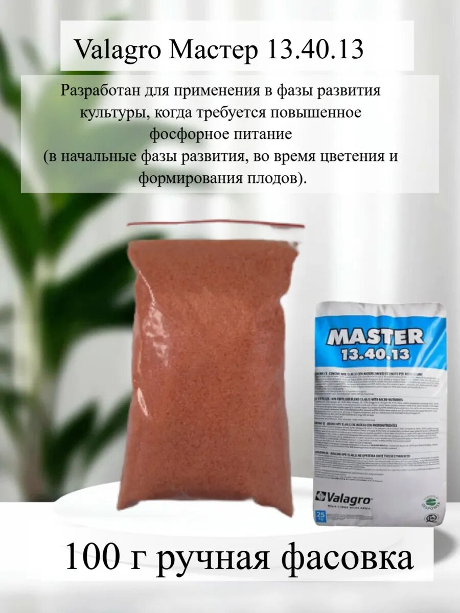 Мастер 13.40.13 (100 г Ручная фасовка)