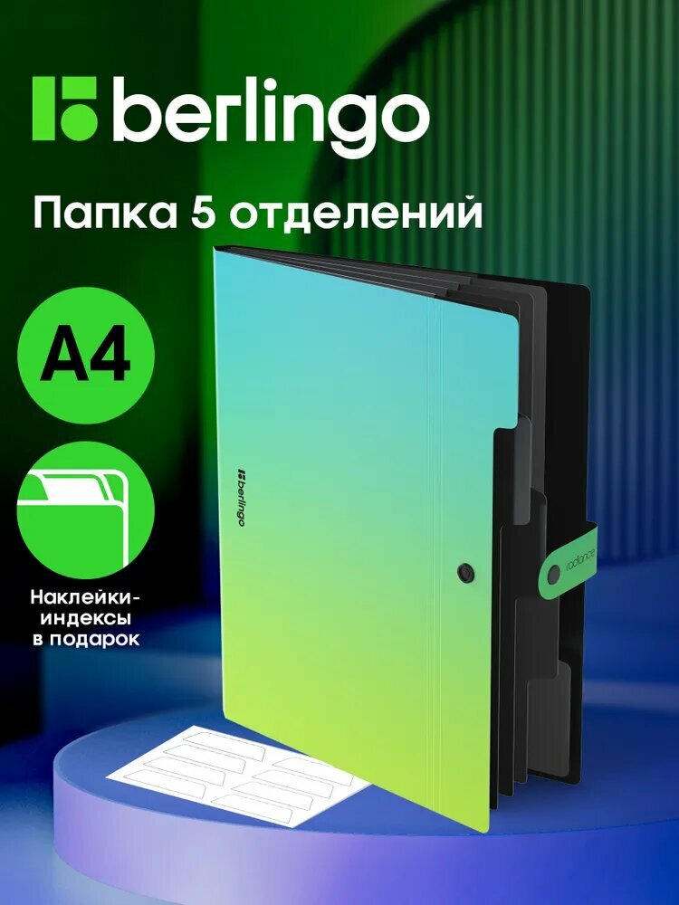 Папка для файлов формата А4, коробка для хранения с 5 отделениями, семейная, с кнопками