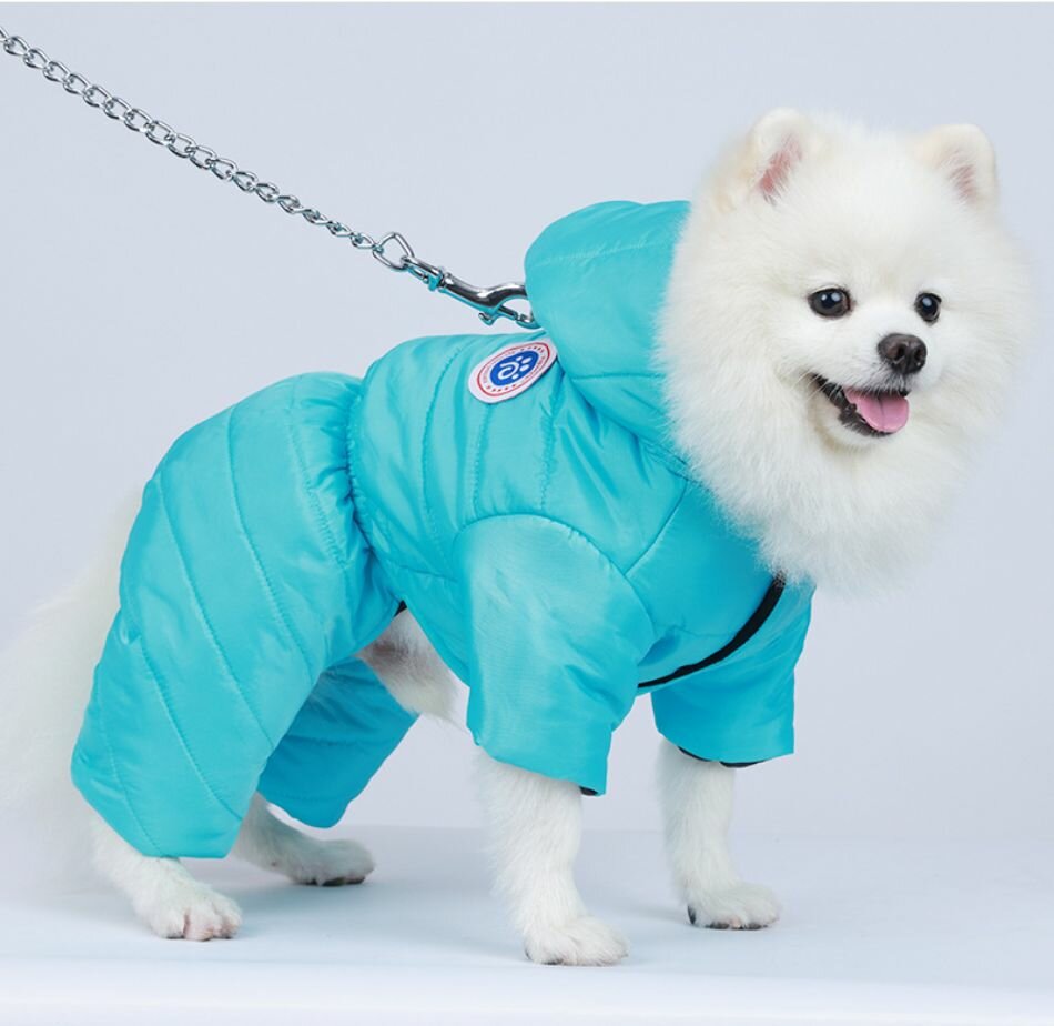 Одежда для домашних животных на четыре лапы/Теплая кепка для собак/Одежда для маленьких собак на осень и зиму