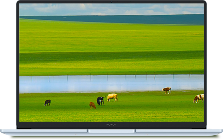 Ноутбук HONOR MagicBook X14 Plus Core i5 220H 2 ГГц, 14" 3K IPS, 32 ГБ, 1 ГБ, Iris Xe Graphics, W11, Синий