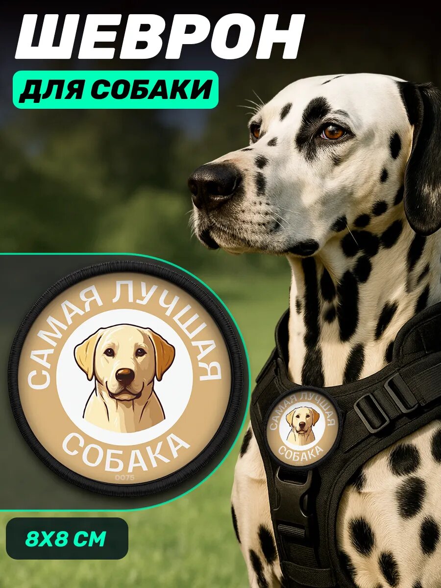 Шеврон на шлейку для собак Самая лучшая собака Лабрадор