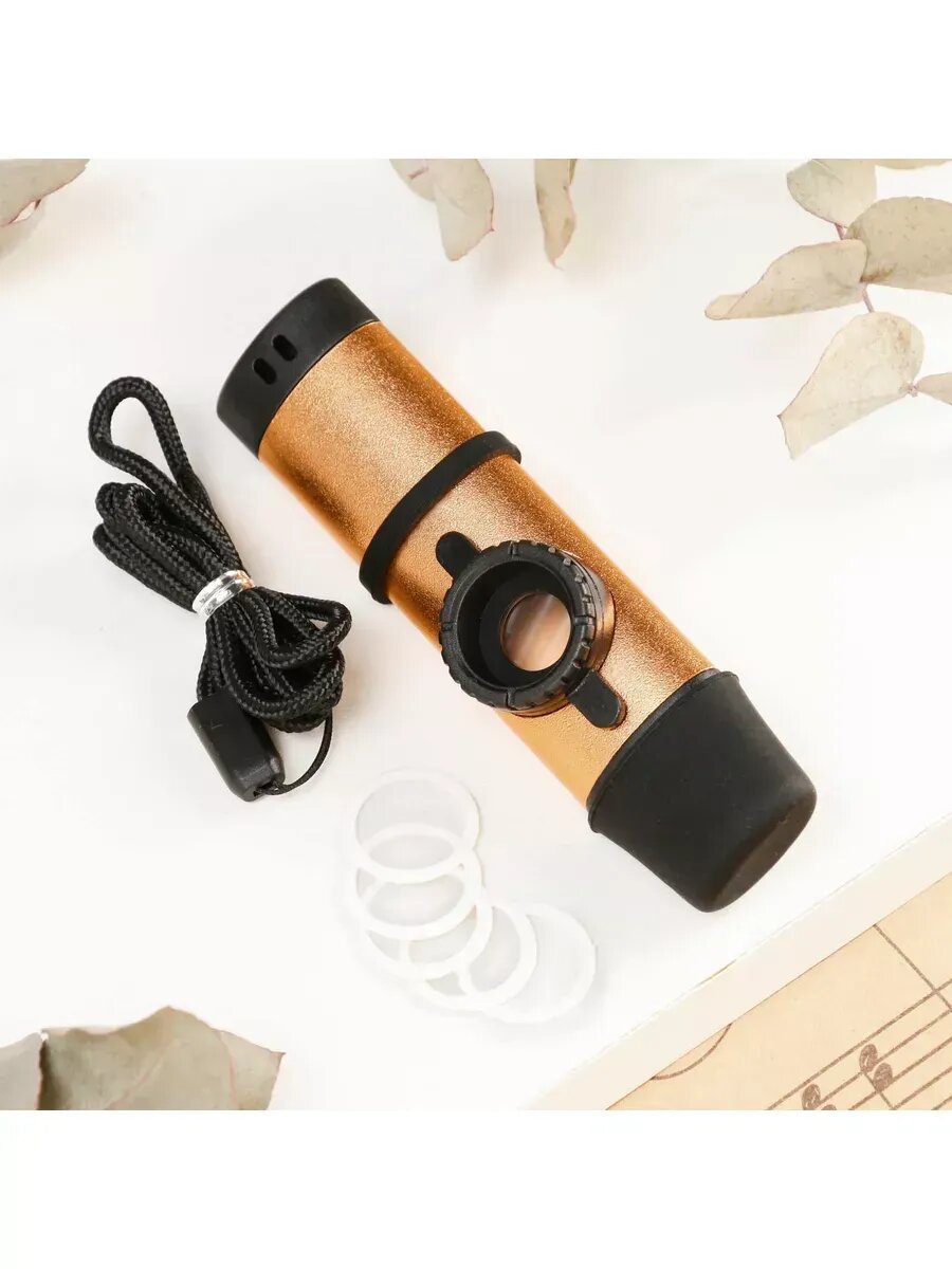 Казу музыкальный инструмент