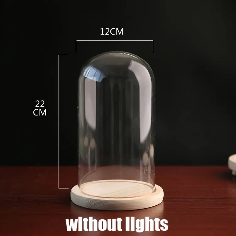 Стеклянный купол с деревянной подставкой