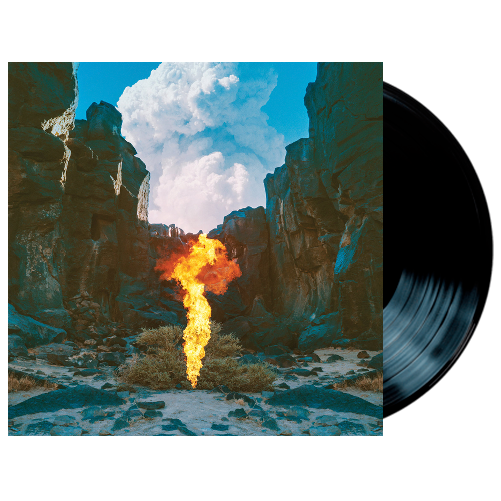 Bonobo – Migration