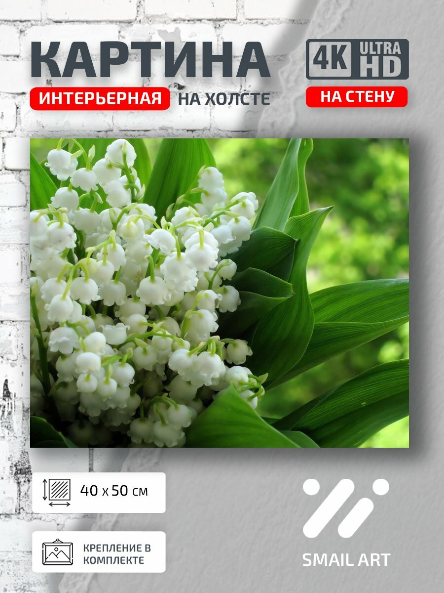 Картина на холсте интерьерная 40 на 50 на стену Ландыши Mood для кабинета атмосфера декор