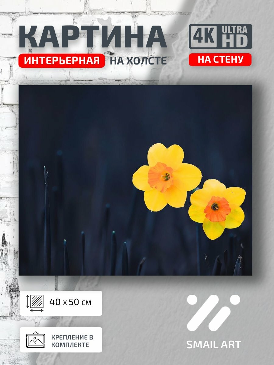 Картина на холсте интерьерная 40 на 50 на стену Темнота Mood для гостиной атмосфера декор