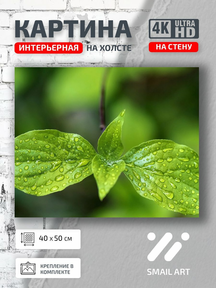 Картина на холсте интерьерная 40 на 50 на стену Капли Macro для кабинета макро интерьер