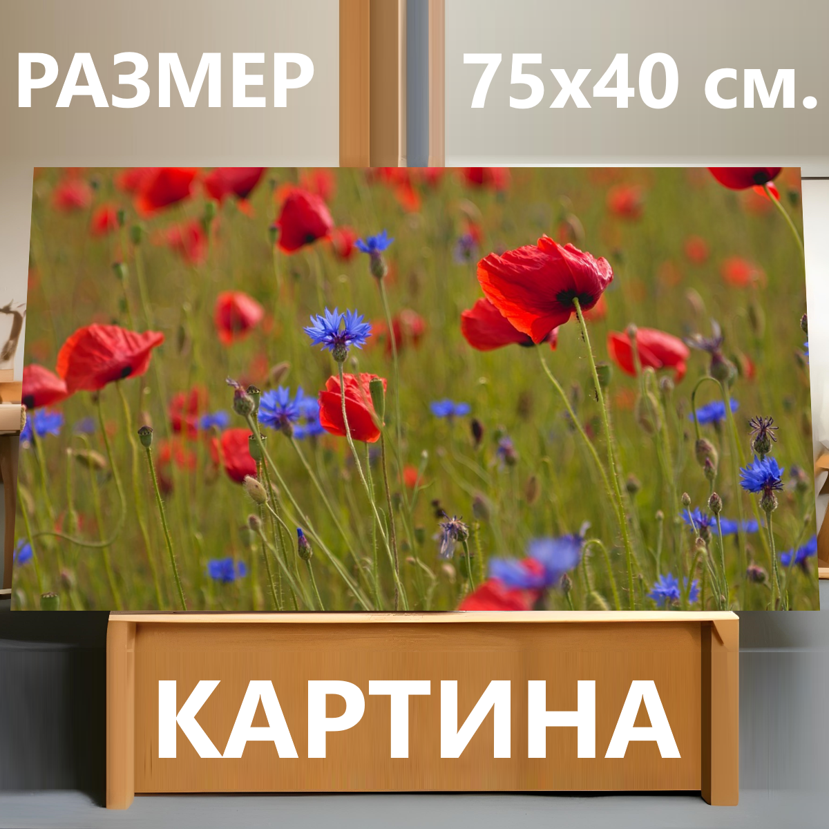 Картина на холсте "Маки, маковое поле, васильки" на подрамнике 75х40 см. для интерьера