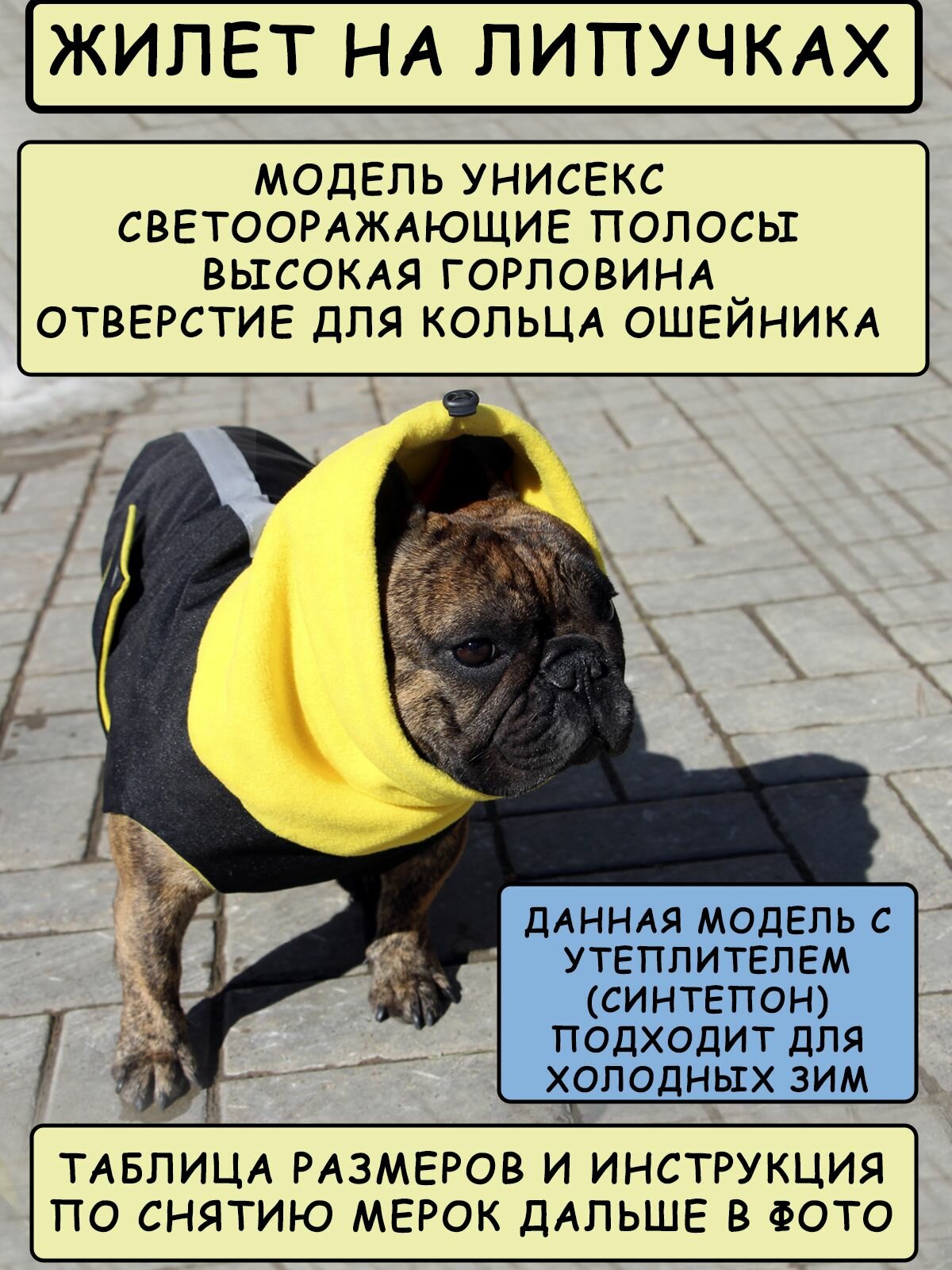 Одежда для животных — фото 1