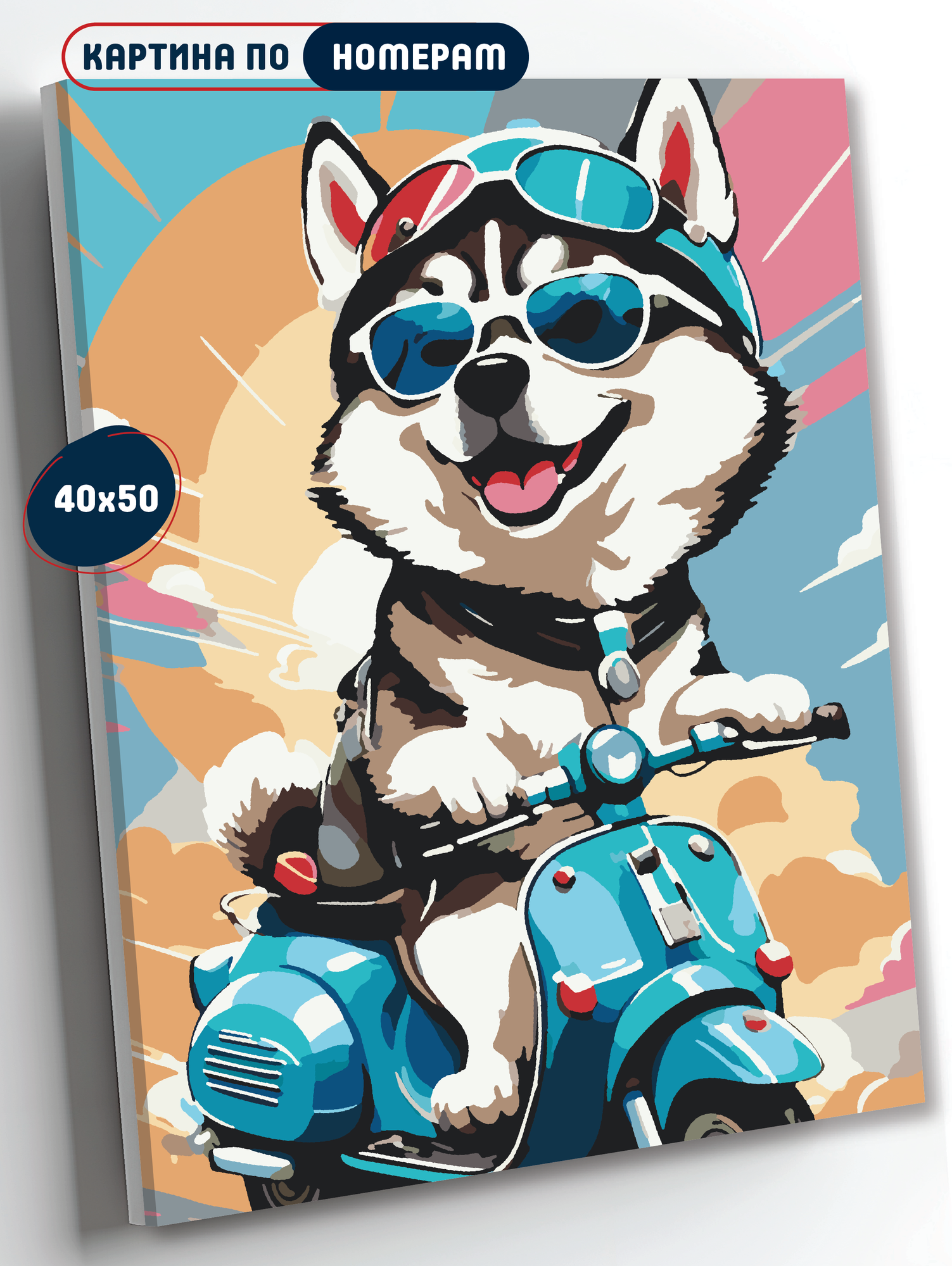 Картина по номерам "Сибирский хаски", Холст на подрамнике 40х50, набор для рисования, с животными