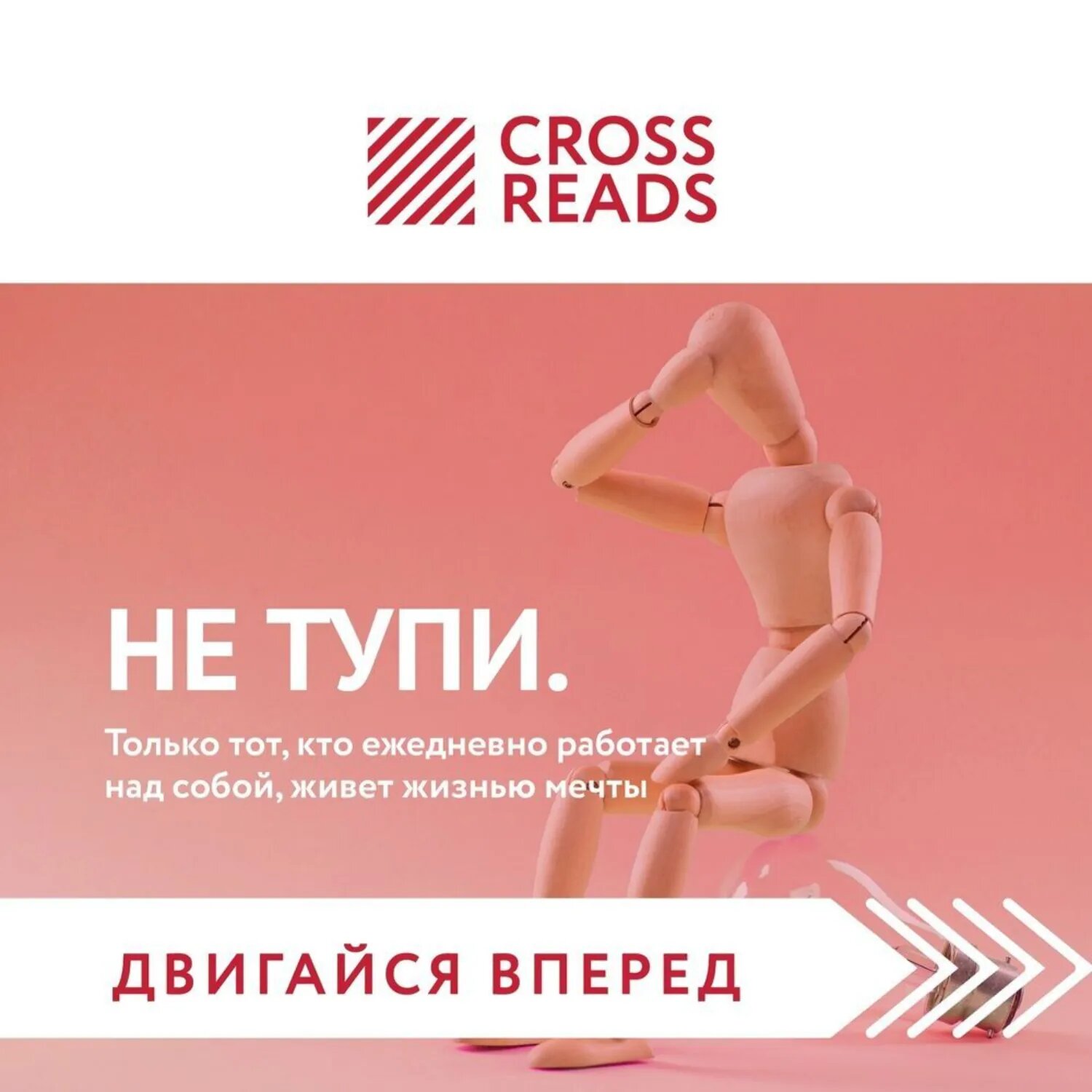 Саммари книги «НЕ тупи. Только тот, кто ежедневно работает над собой, живет жизнью мечты» [Аудиокнига]