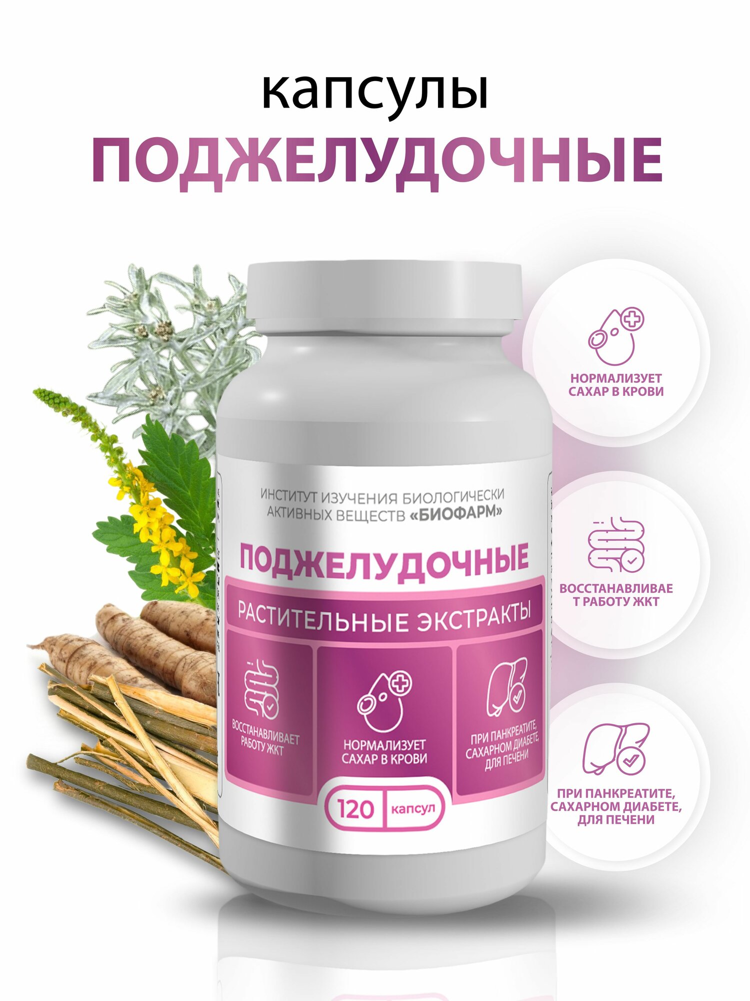 Капсулы с сухими растительными экстрактами-Для поджелудочной железы 120 шт