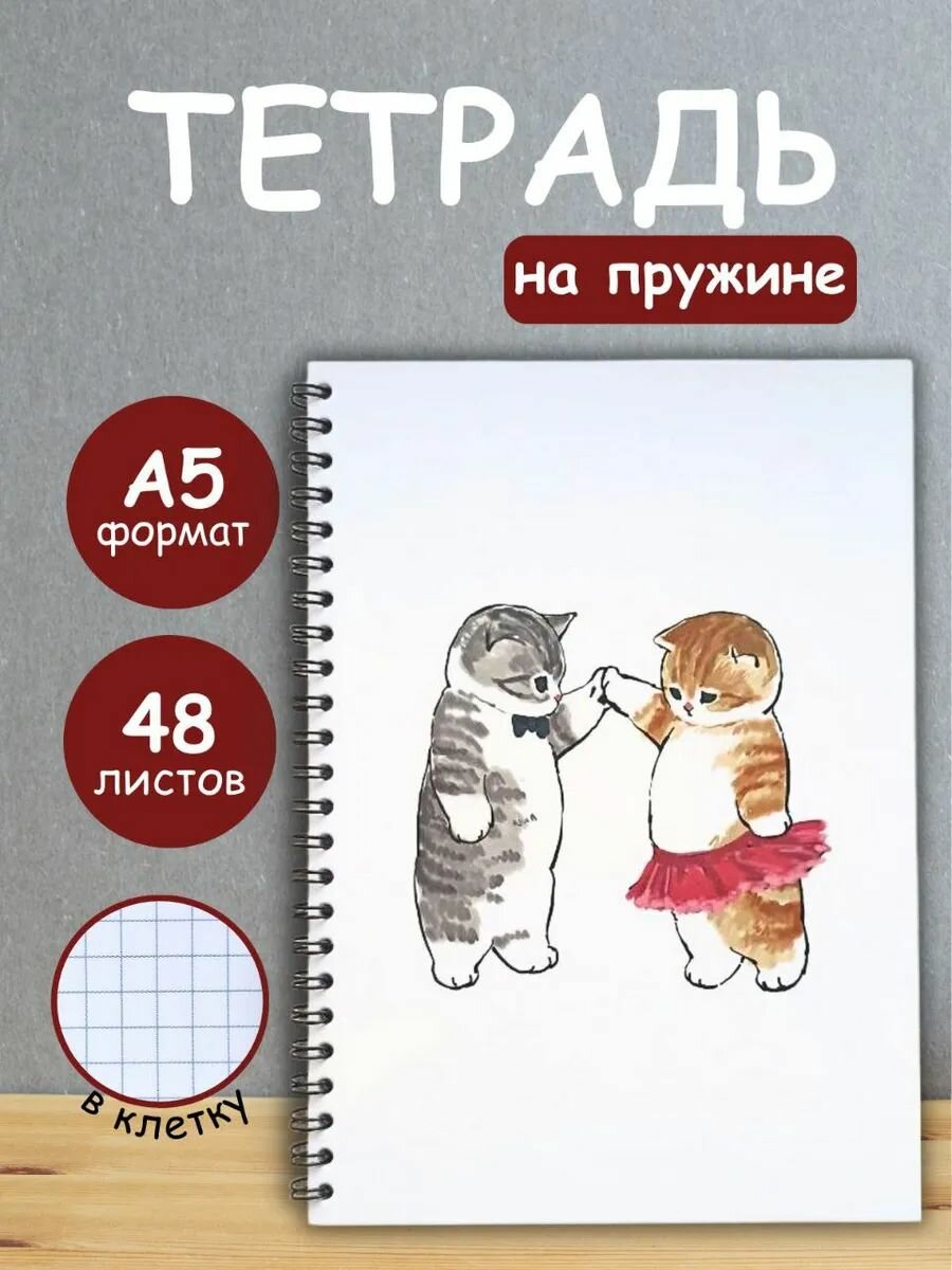 Тетрадь в клетку 48 листов на пружине , блокнот А5 Милые котики