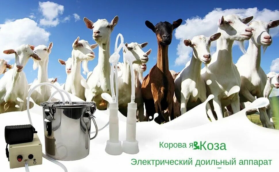 Доильный аппарат для коз объемом 3 л, электрический доильщик с регулируемой скоростью всасывания коз, портативный автоматический молокоотсос 2 чашками сосок
