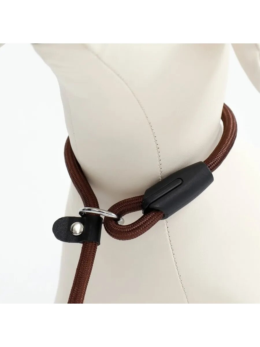 Комфортная ринговка для выставок и прогулок