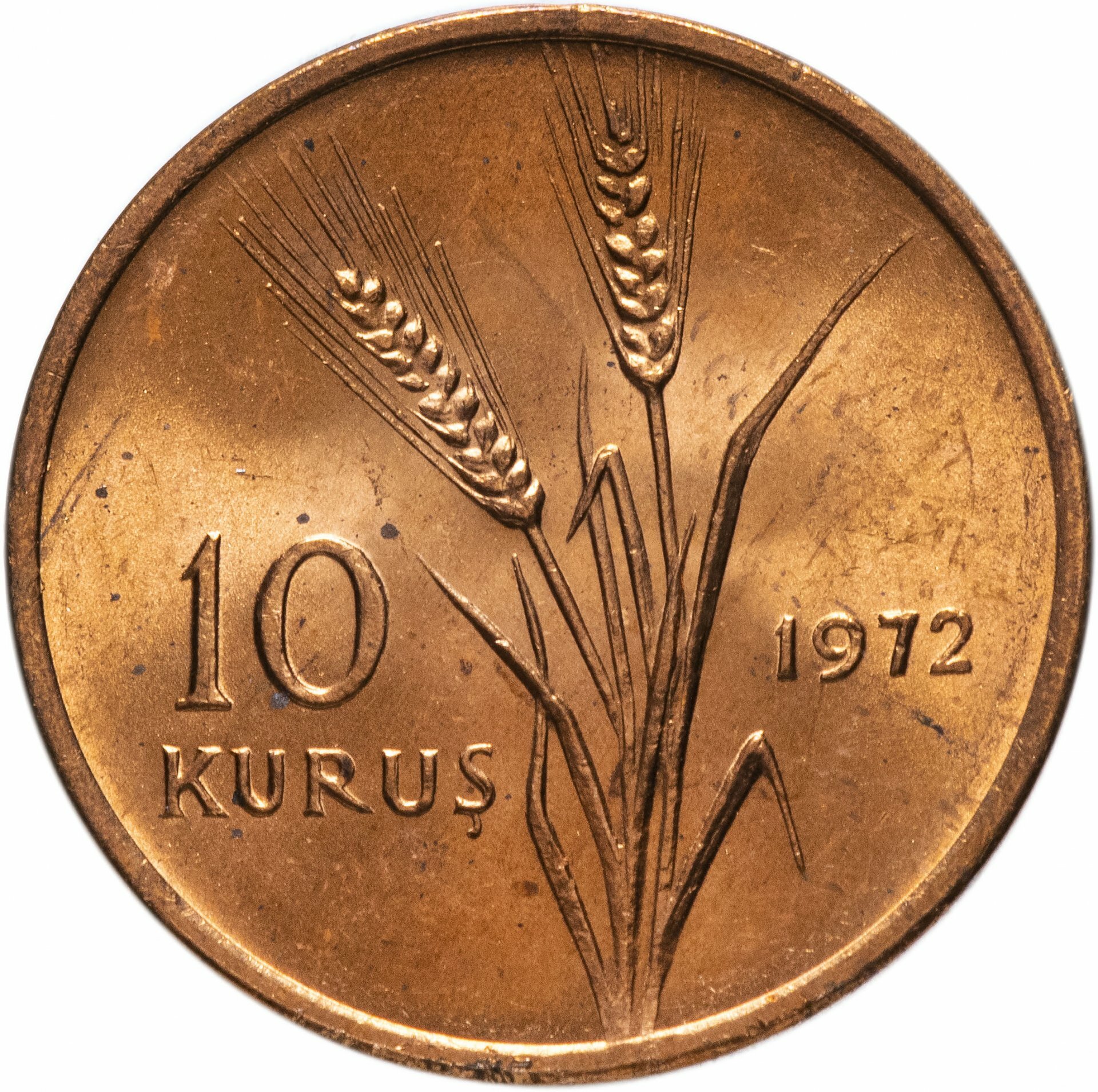 Турция 10 курушей 1972 FAO UNC с точками, Бронза