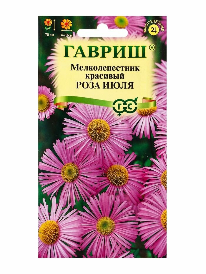 Семена многолетних цветов Мелколепестник красивый Роза июля* 0,05 г. Гавриш.