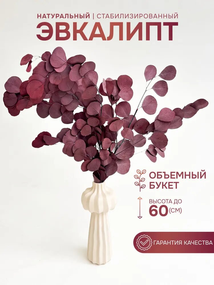 ARANTA Сухоцветы Эвкалипт, 70 см