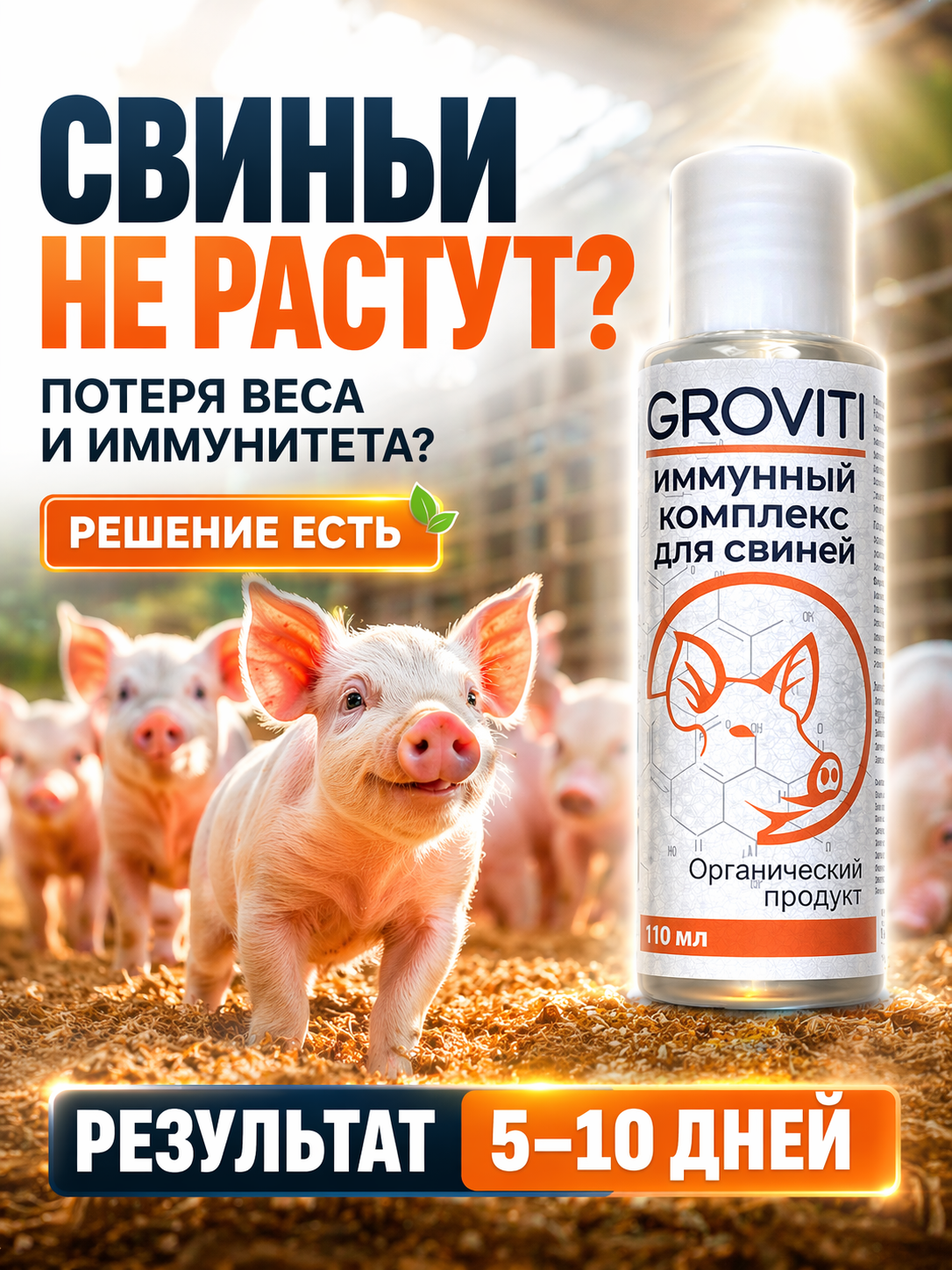 Биокомплекс Groviti, для свиней, свиней, кабанов, мини пигов
