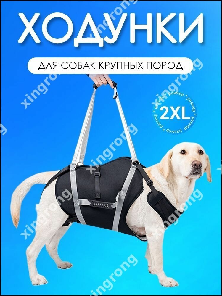 Эксклюзивные ходунки XXL для полной поддержки лап пожилых или травмированных собак крупных пород-bo