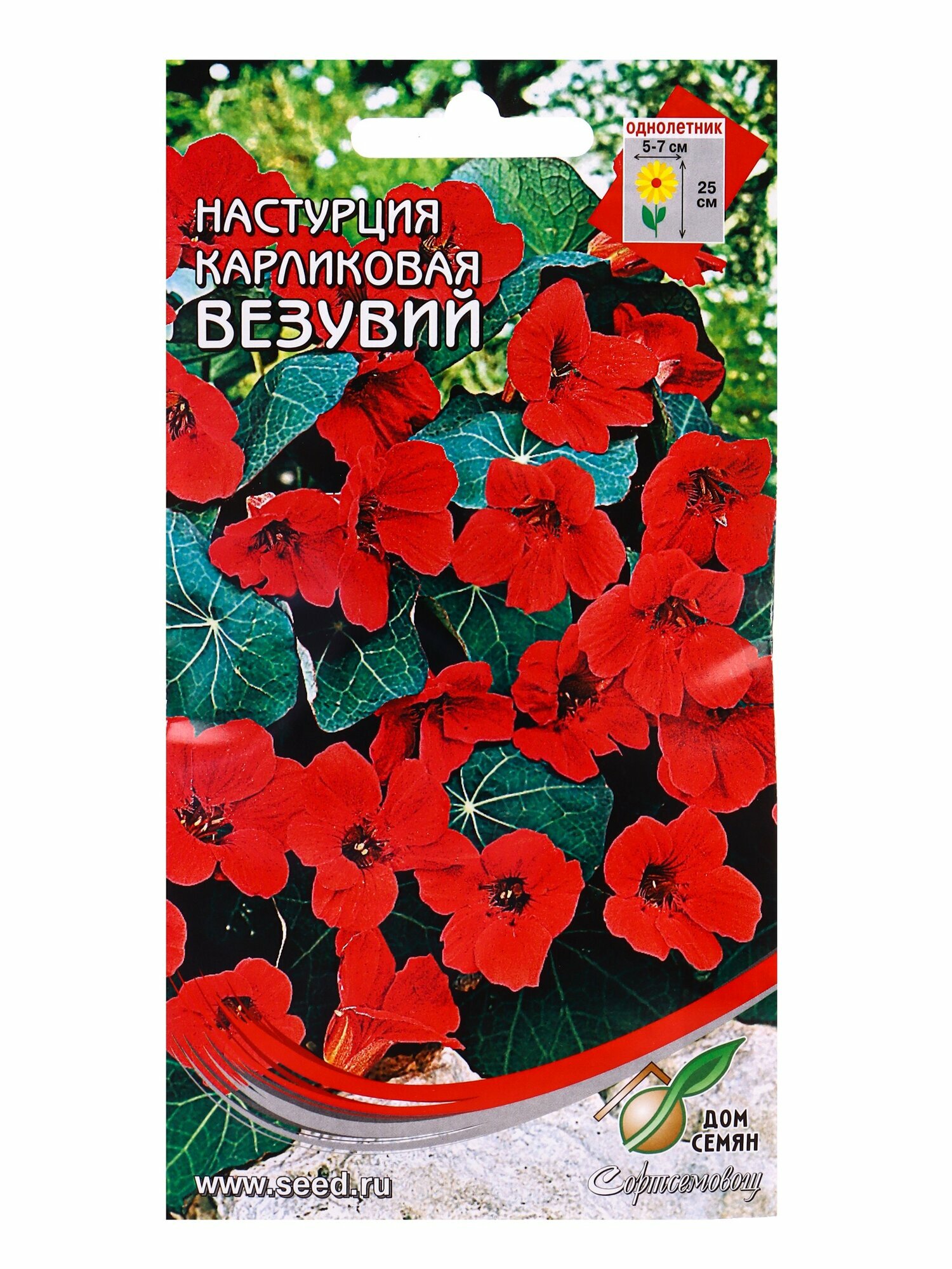 Семена цветов Настурция «Везувий», карликовая, 8 шт, «Дом семян»