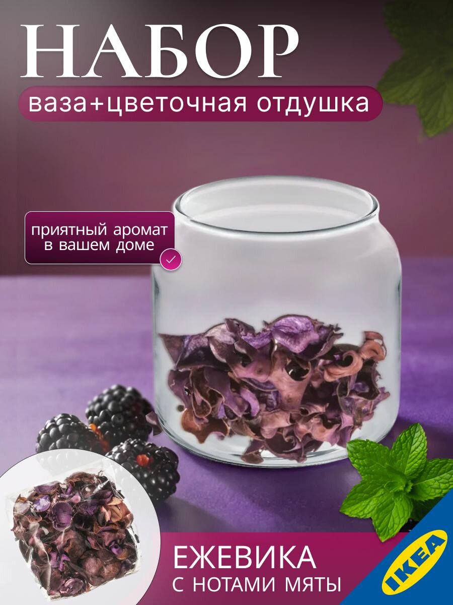 Набор из вазы и ароматических сухоцветов Ежевика сиреневый IKEA