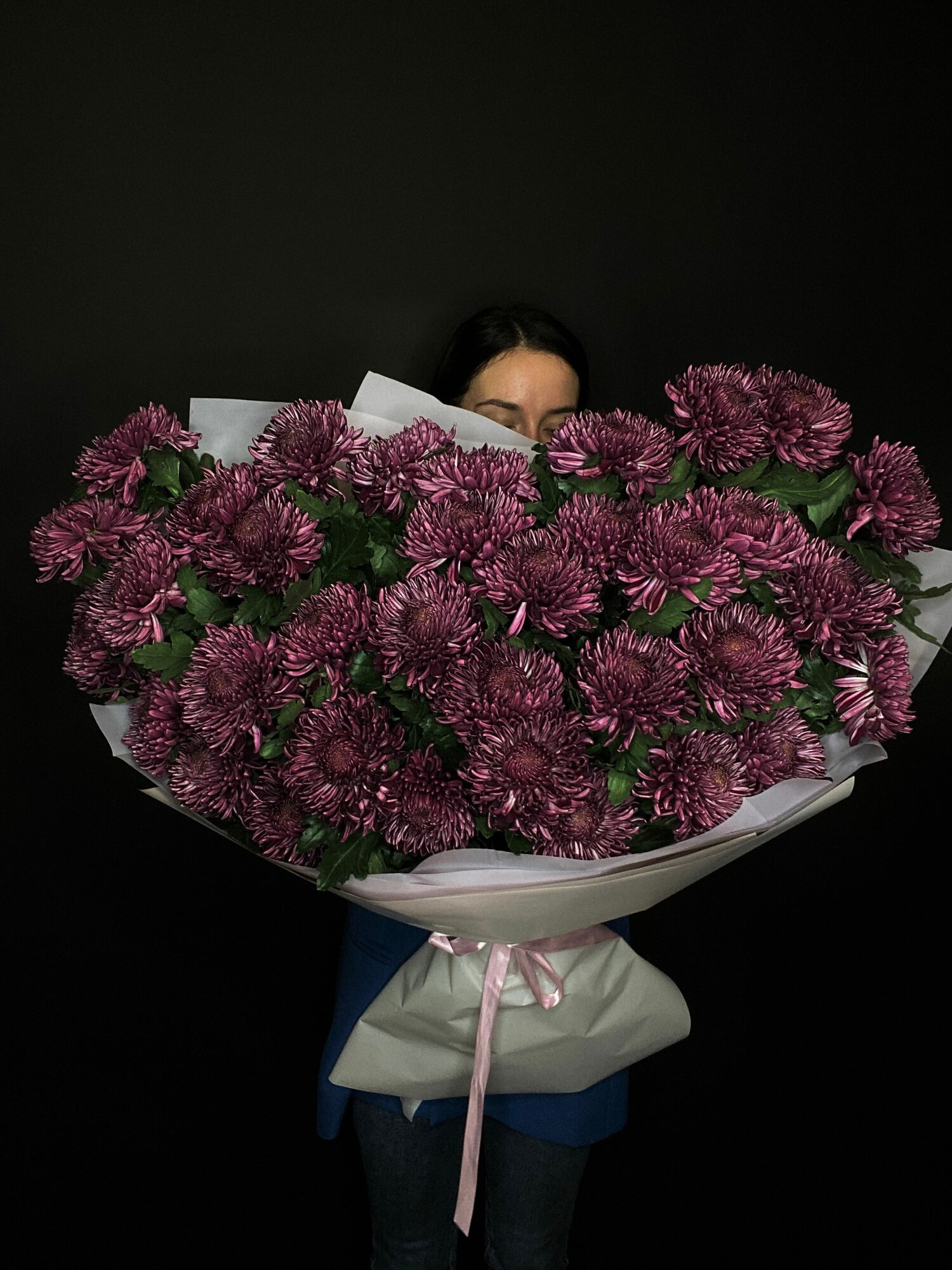 Фиолетовые хризантемы